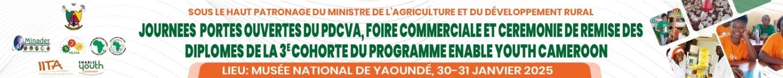 Le Groupe Somdiaa cède ses minoteries du Cameroun et du Congo au groupe ...